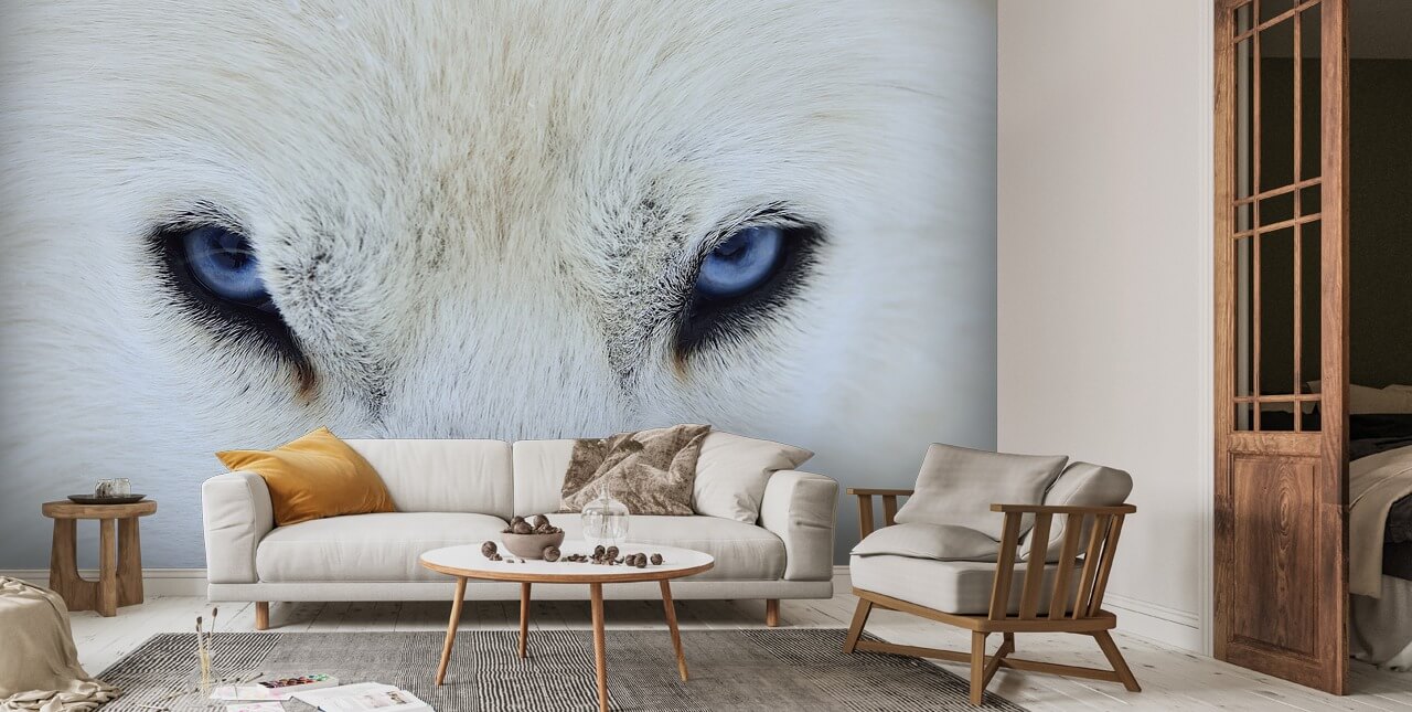 Wolf Wall Mural | Wallsauce US