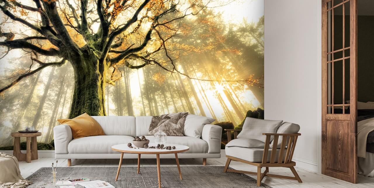 Tree Giant Wall Mural | Wallsauce AU