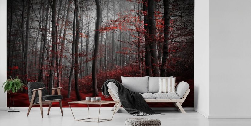 Popular Wallpapers | Wallsauce US