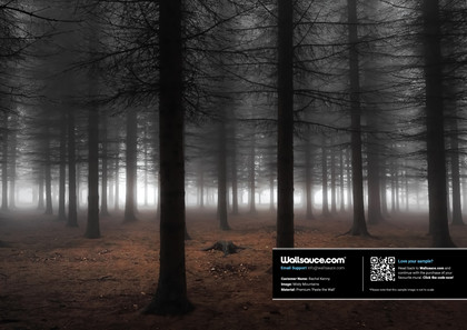 Silence Wall Mural | Wallsauce US