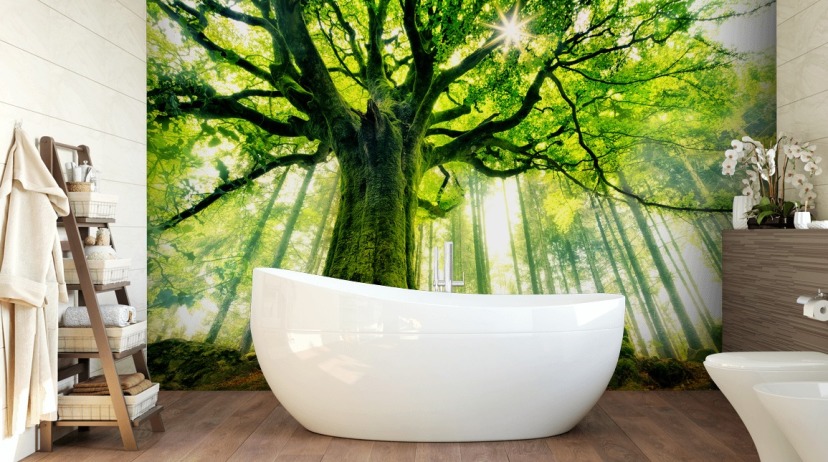 Forest Wallpaper | Wallsauce US