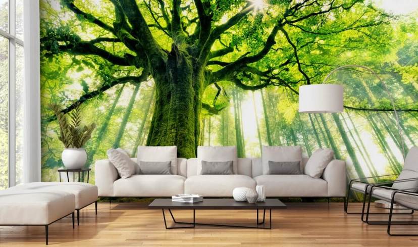 Nature Wallpaper | Wallsauce UK