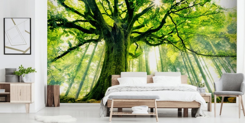 Feature Wallpaper & Wall Murals | Wallsauce UK