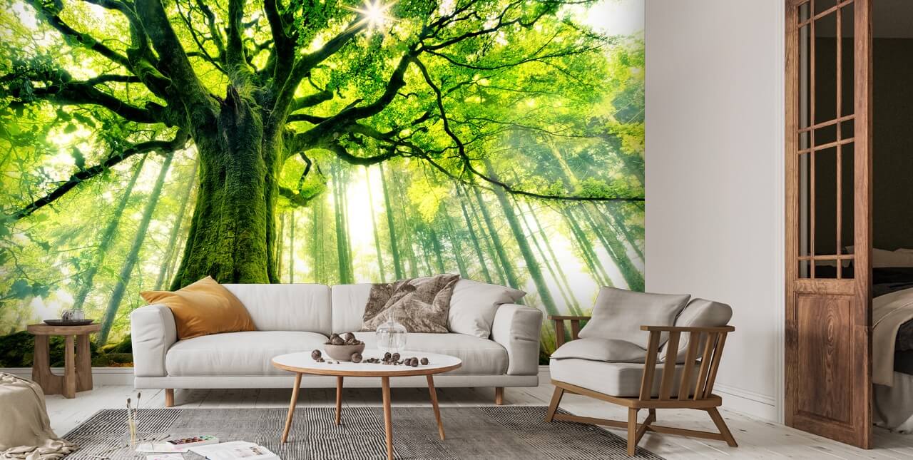 Mother Tree Wall Mural | Wallsauce UK
