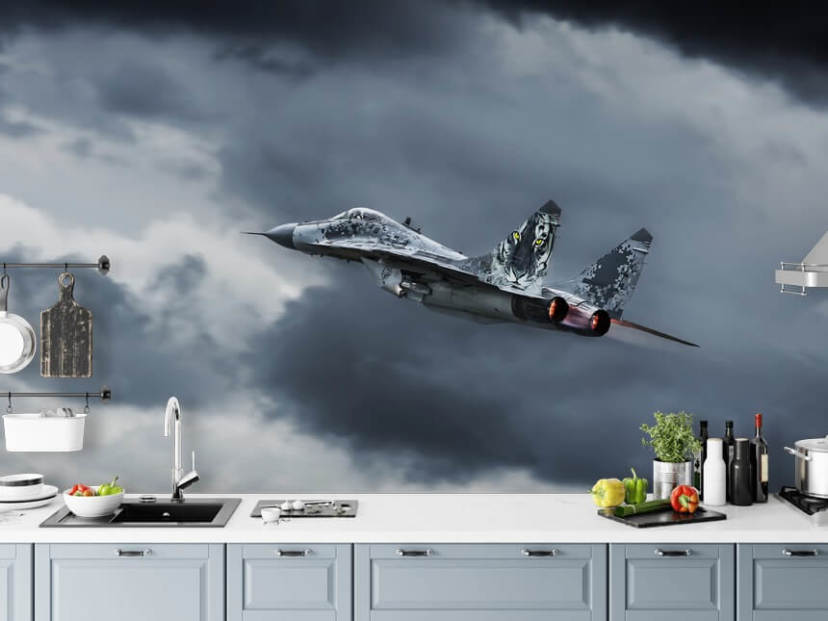 Airplane Wallpaper & Aircraft Wall Murals | Wallsauce US