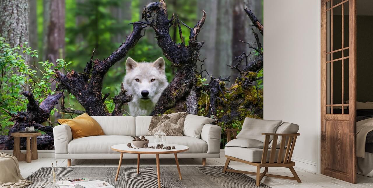 Say Cheese Mr Wolf Wall Mural | Wallsauce US