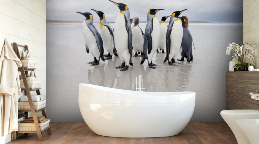 Penguin Wallpaper & Wall Murals | Wallsauce US