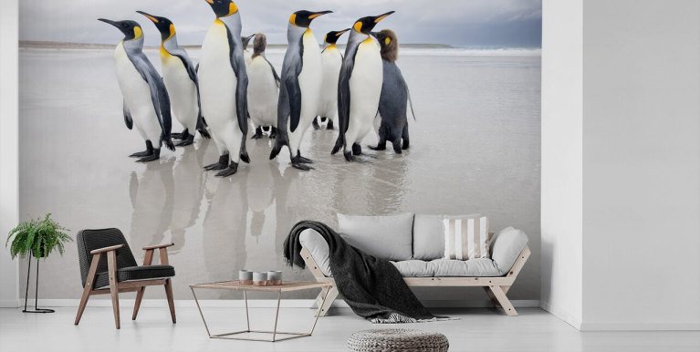 Penguin Wallpaper & Wall Murals | Wallsauce UK