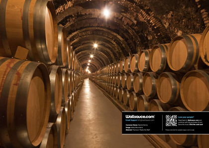 Barrels de Vino en la Bodega Wallpaper Murals | Wallsauce US
