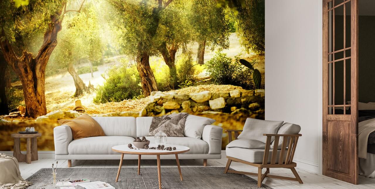 Olive Trees Wallpaper | Wallsauce US