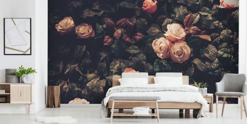Rose Wallpaper & Wall Murals | Wallsauce AU