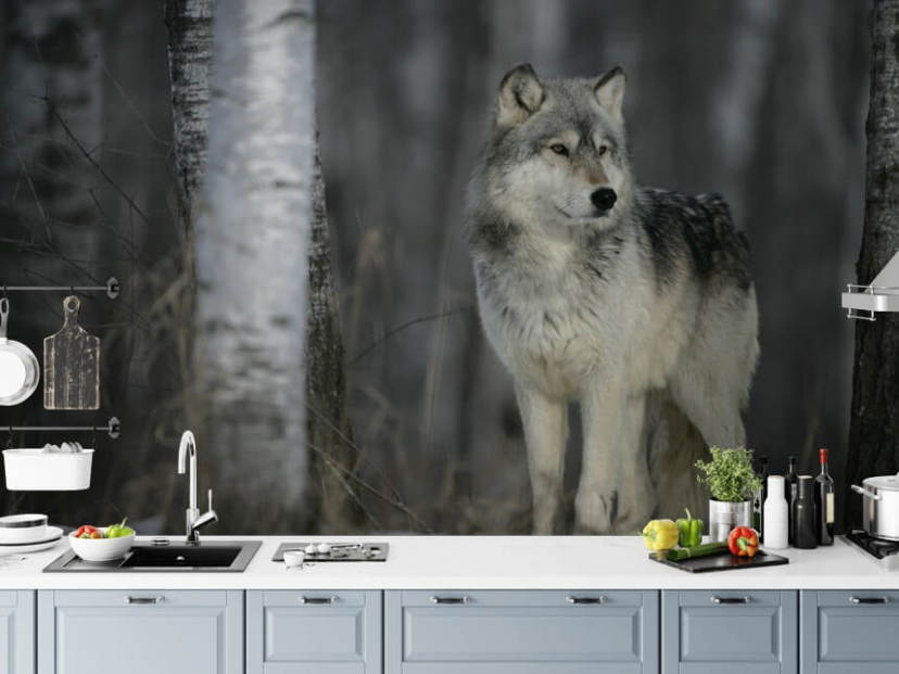 Nature Wallpaper | Wallsauce US