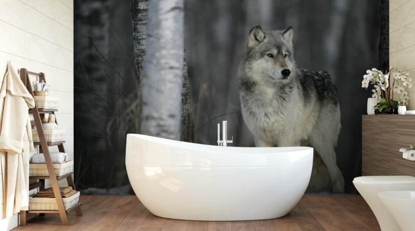 Nature Wallpaper | Wallsauce AU