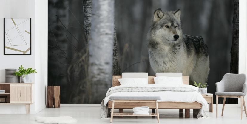3d Wolves Wallpapers