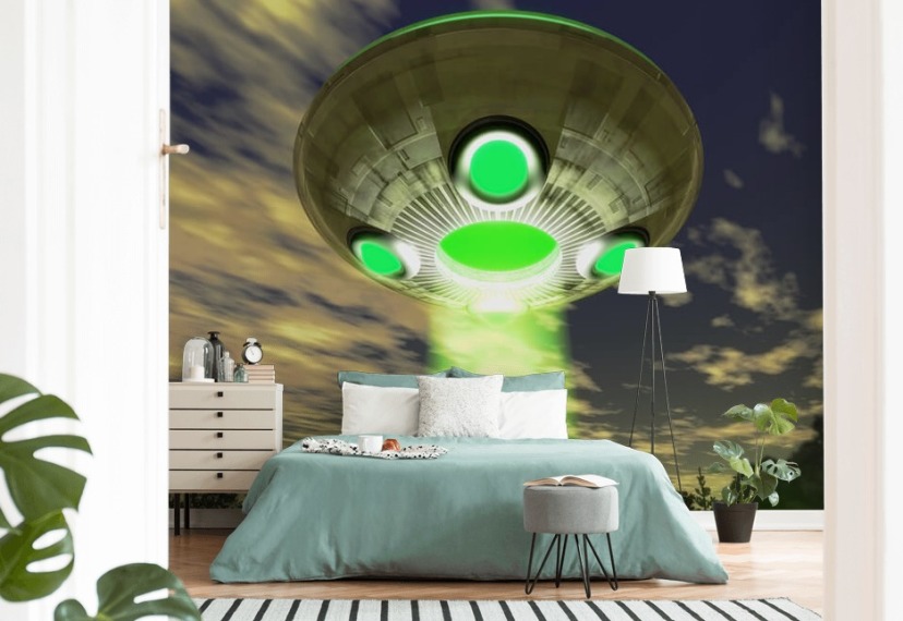 UFO Wallpaper & Wall Murals | Wallsauce UK