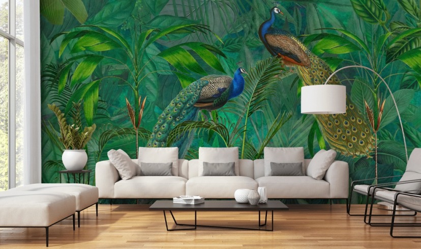 Fondos De Pantalla Geniales De Pavos Reales 100+] Fondos De Fotos De