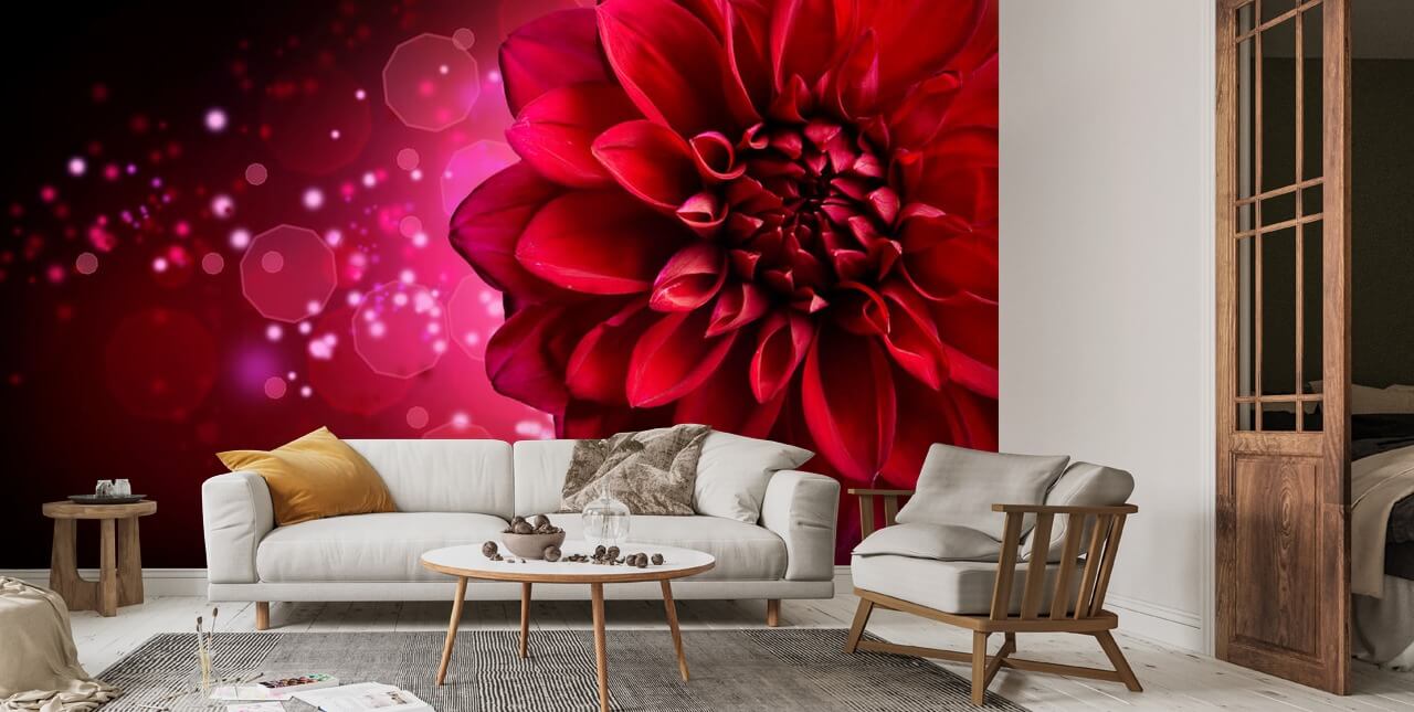 Dahlia Taustakuva | Wallsauce FI