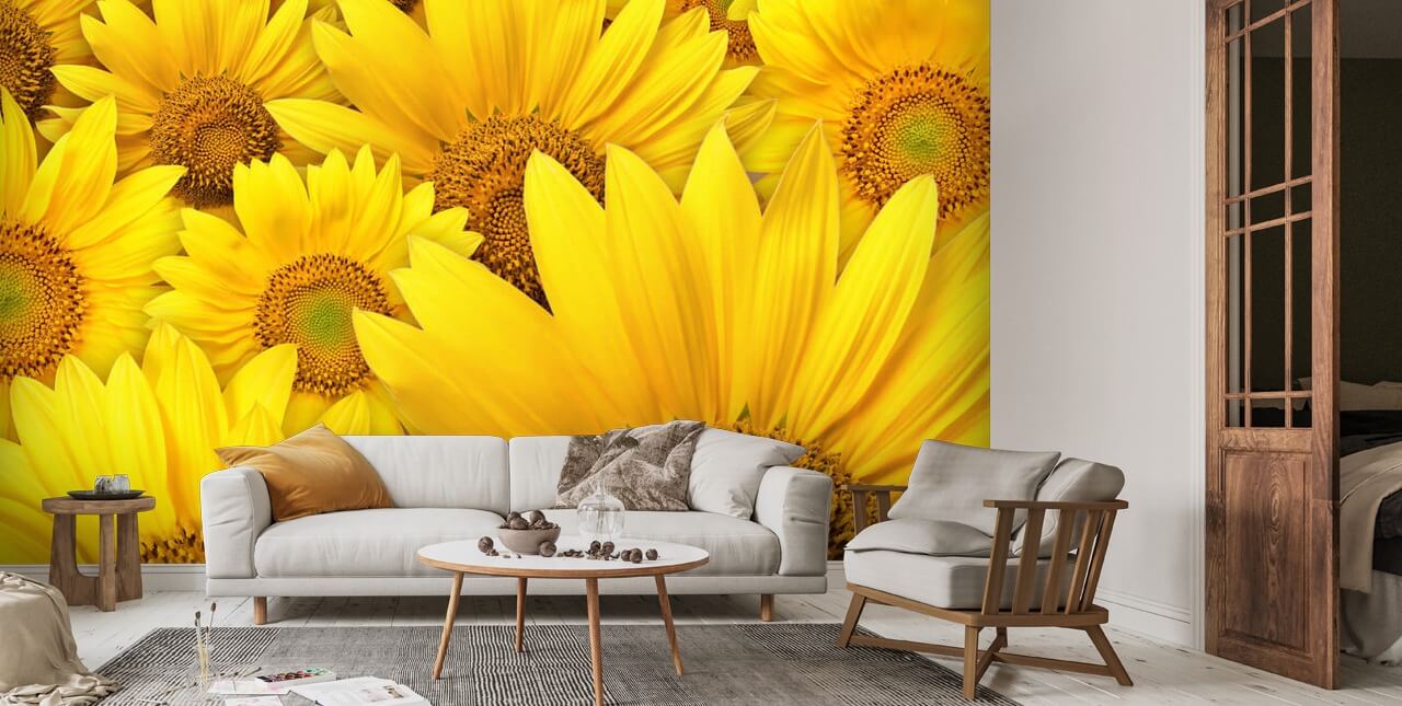 Solrosor Bloom Tapeter | Wallsauce SE