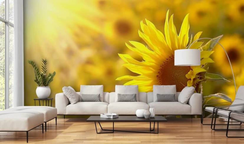 Sunflower Wallpaper & Wall Murals | Wallsauce US