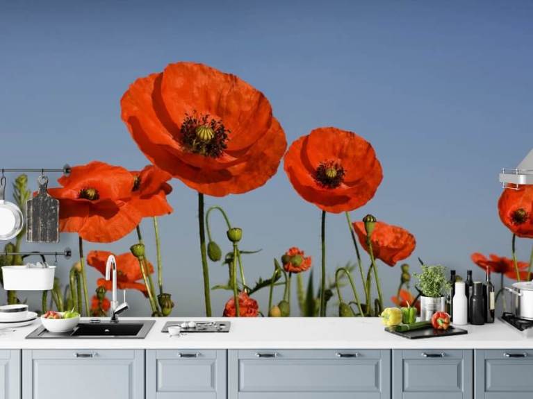 Poppy Wallpaper & Wall Murals | Wallsauce US