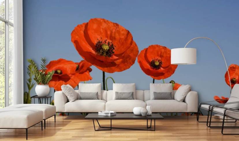 Poppy Wallpaper & Wall Murals | Wallsauce US