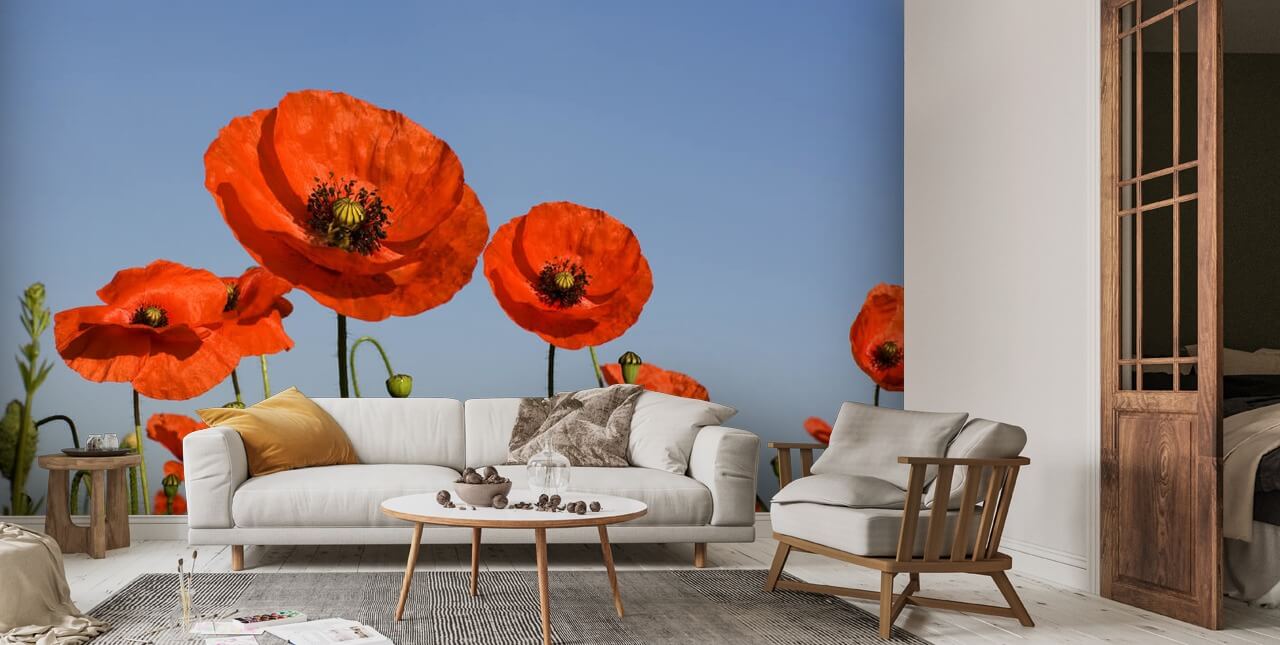 Poppy Wall Mural | Wallsauce UK
