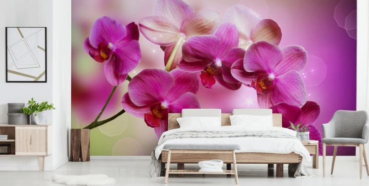Floral Wallpaper and Flower Wall Murals | Wallsauce US