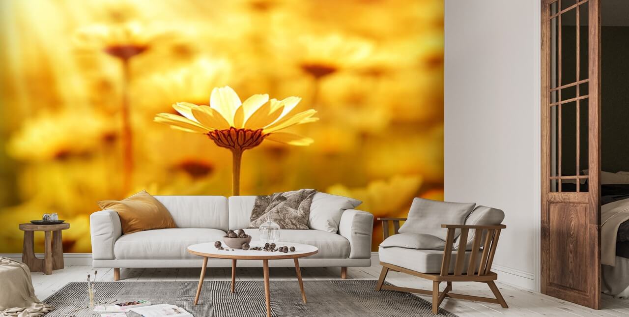 Field of Daisies Wallpaper | Wallsauce UK