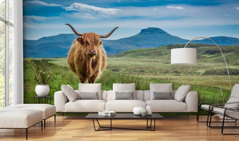 Cow Wallpaper & Wall Murals | Wallsauce US