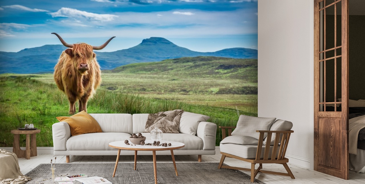 Grazing Highland Cow Wallpaper Mural | Wallsauce UK