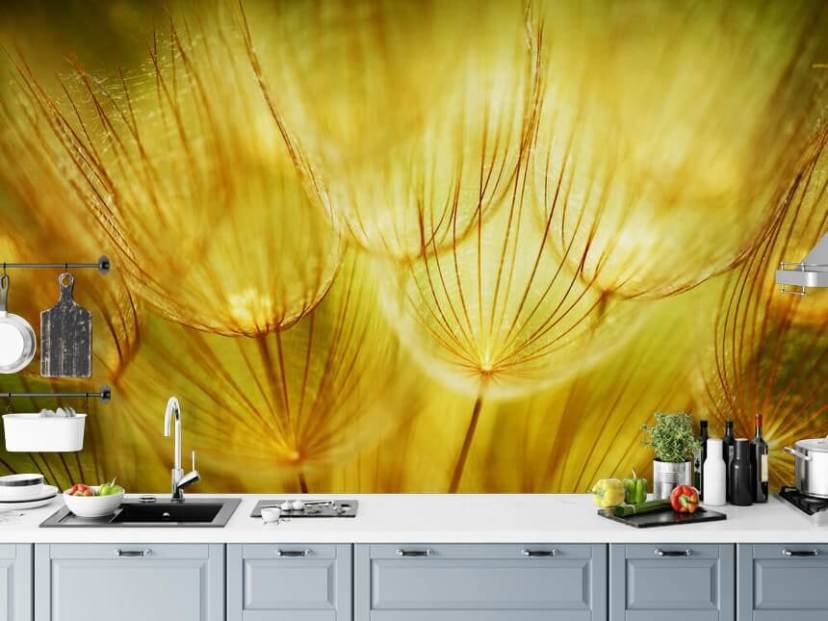 Dandelion Wallpaper & Wall Murals | Wallsauce US