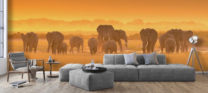 Elephant Wallpaper & Wall Murals | Wallsauce US