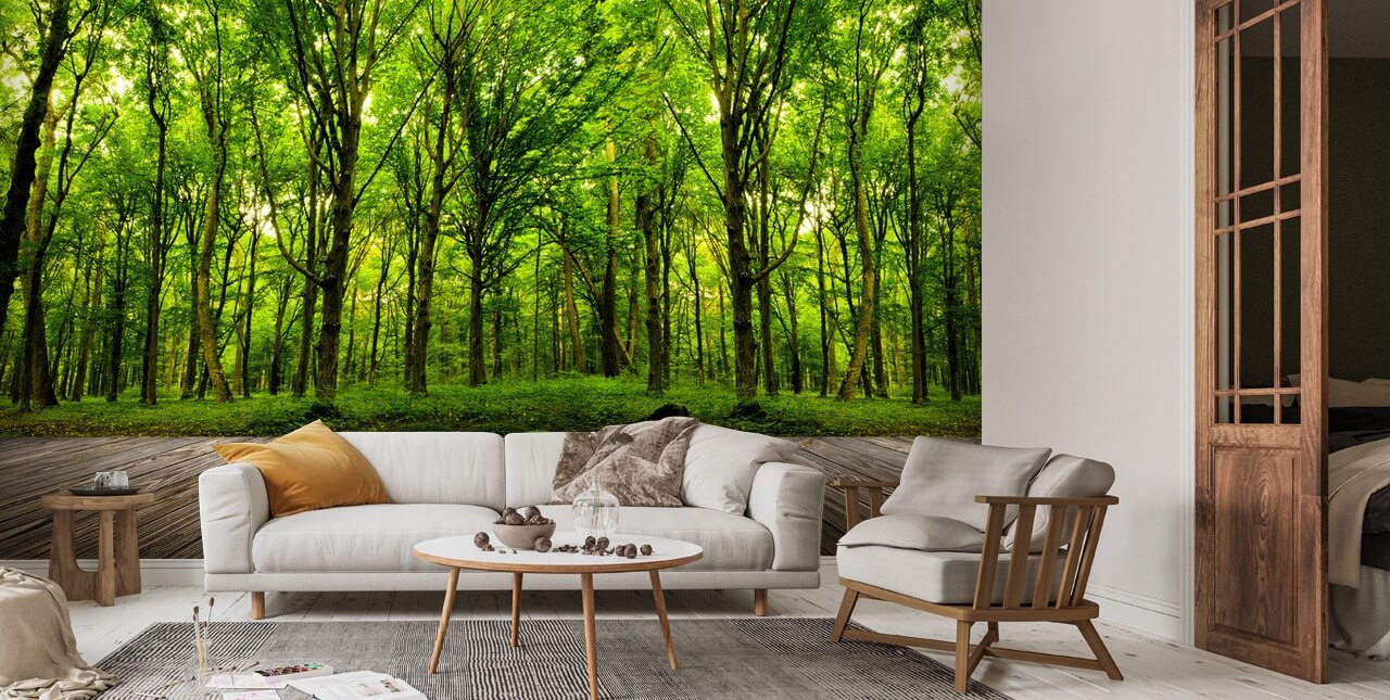 Veranda View Muurschildering | Wallsauce NL