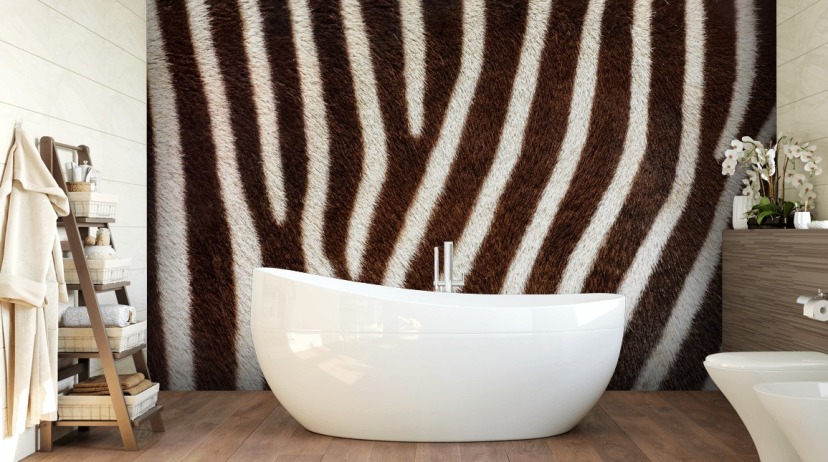 Animal Print Wallpaper & Feather Wallpaper | Wallsauce UK