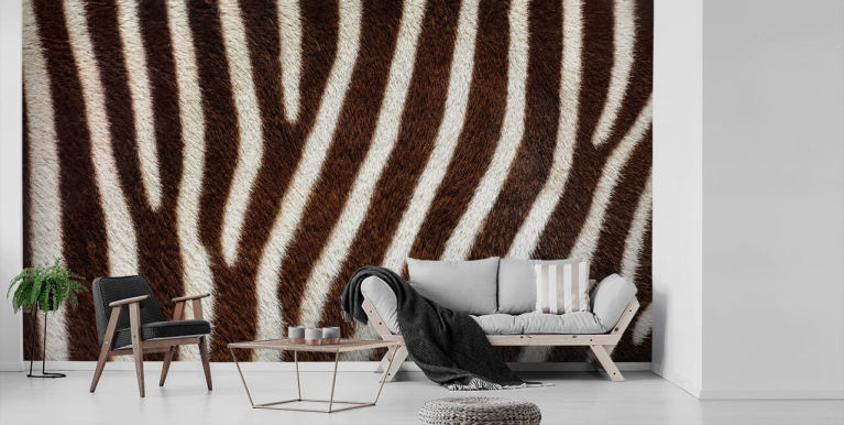 Animal Print Wallpaper & Feather Wallpaper | Wallsauce AU