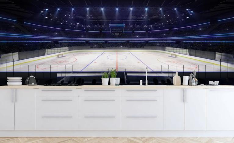 Nhl Hockey Rink Background
