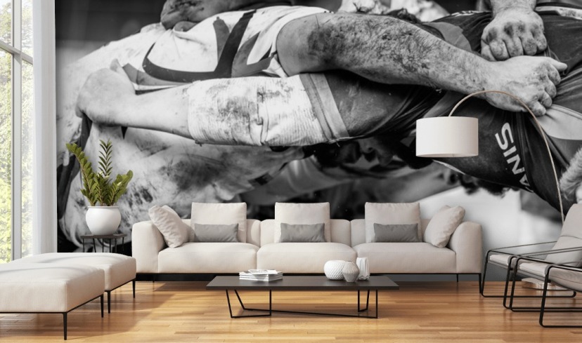 Rugby Wallpaper Murals | Wallsauce NZ