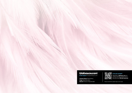 Light Pink Feather Print Mural | Wallsauce US