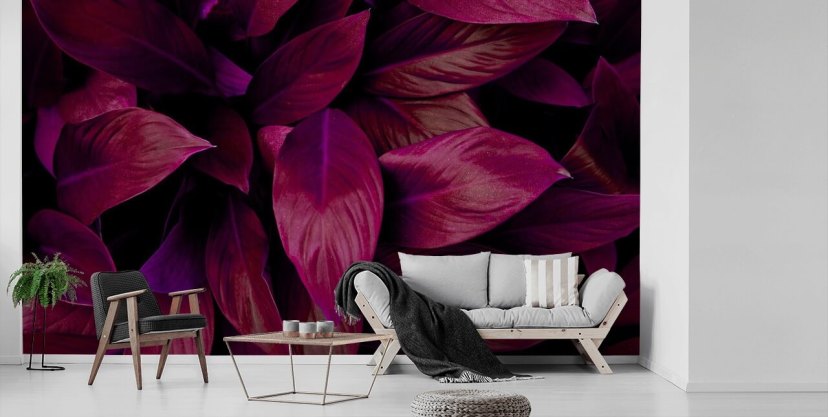 Leaf Wallpaper & Wall Murals | Wallsauce UK