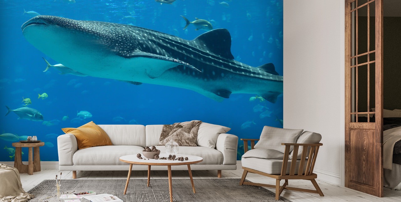 Walvishaai en vis behang | Wallsauce NL
