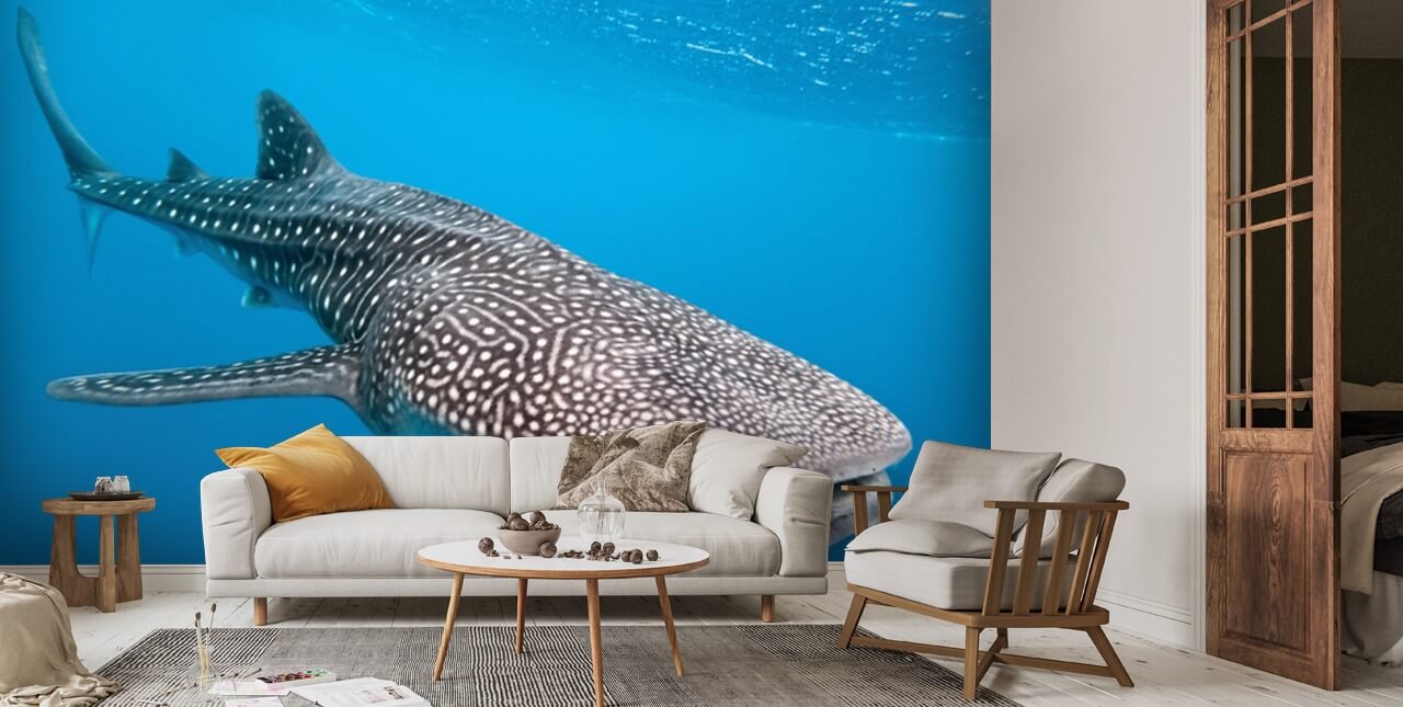 Whale Shark Way Wallpaper | Wallsauce CA