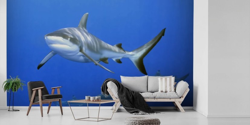 Shark Wallpaper and Wall Murals | Wallsauce UK