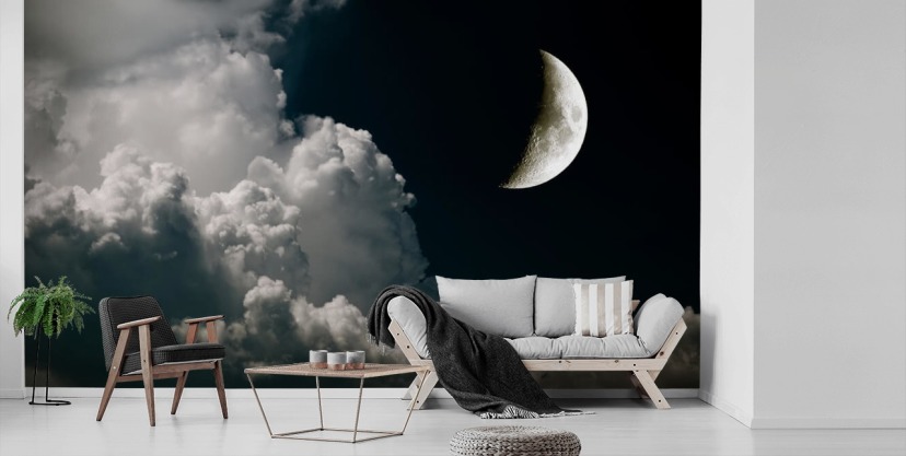 Moon Wallpaper Murals | Wallsauce NZ