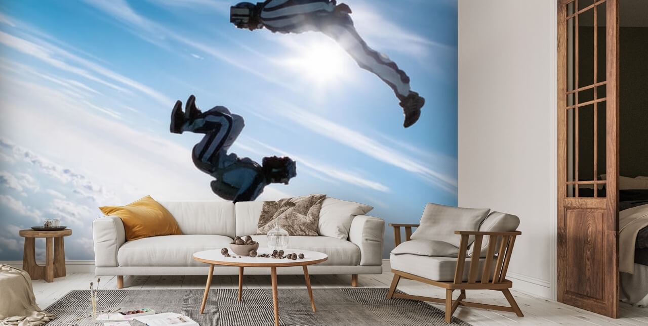 Freefall Skydiving Wall Mural | Wallsauce NZ
