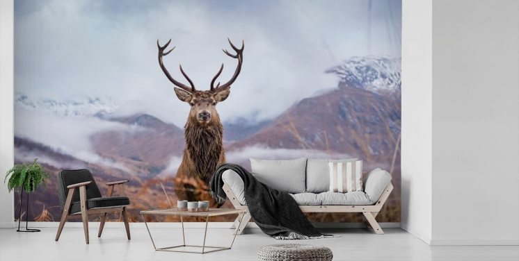 Stag Wallpaper & Deer Wallpaper | Wallsauce UK