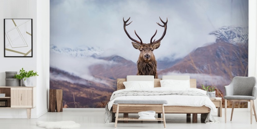 Nature Wallpaper | Wallsauce US