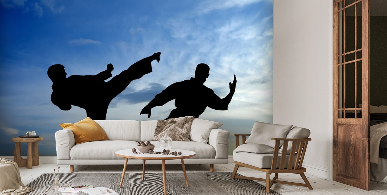 Karate Wall Mural | Wallsauce AU