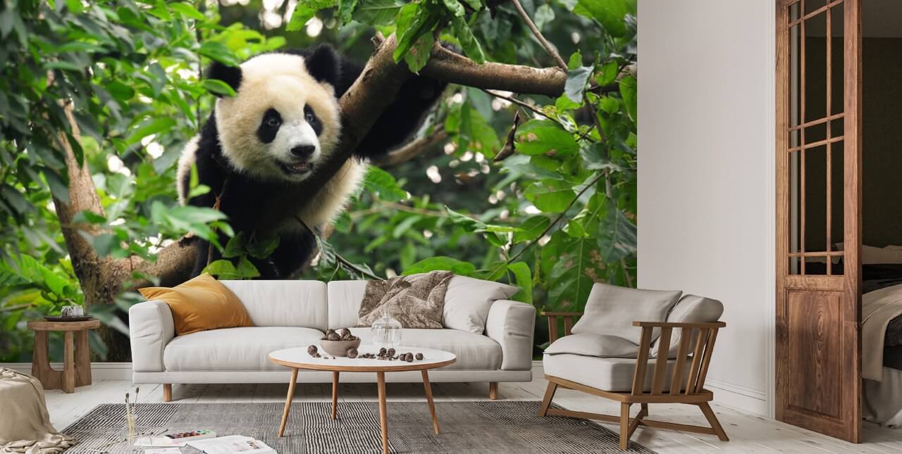 Peek A Boo Panda Wallpaper | Wallsauce UK