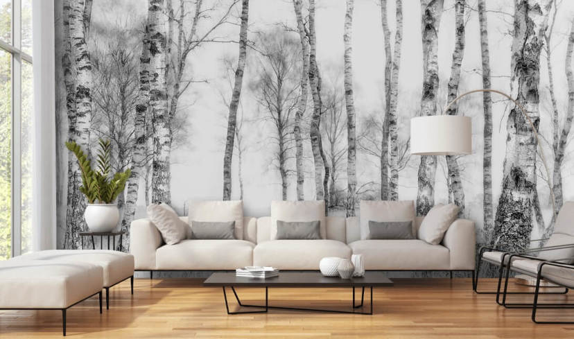 Birch Tree Wallpaper & Wall Murals | Wallsauce UK