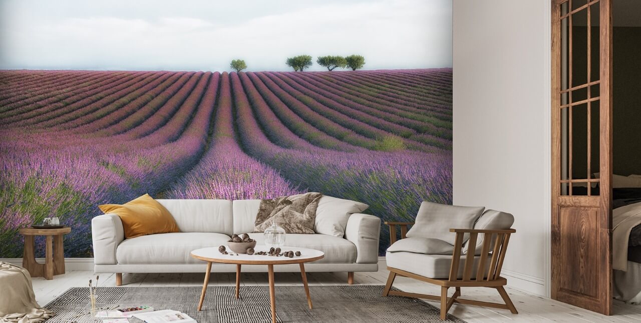 Mural de pared Lavanda terciopelo | Wallsauce ES